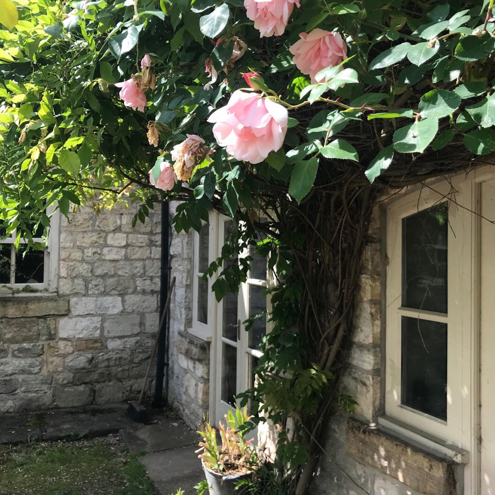 Sophie Morrell | Cute & Quirky Greeting Cards, Art Prints & Giftware